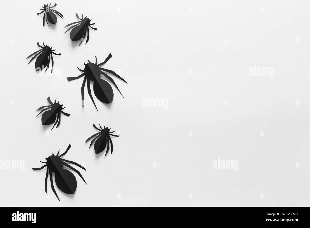 Cockroach Black and White Stock Photos & Images - Alamy