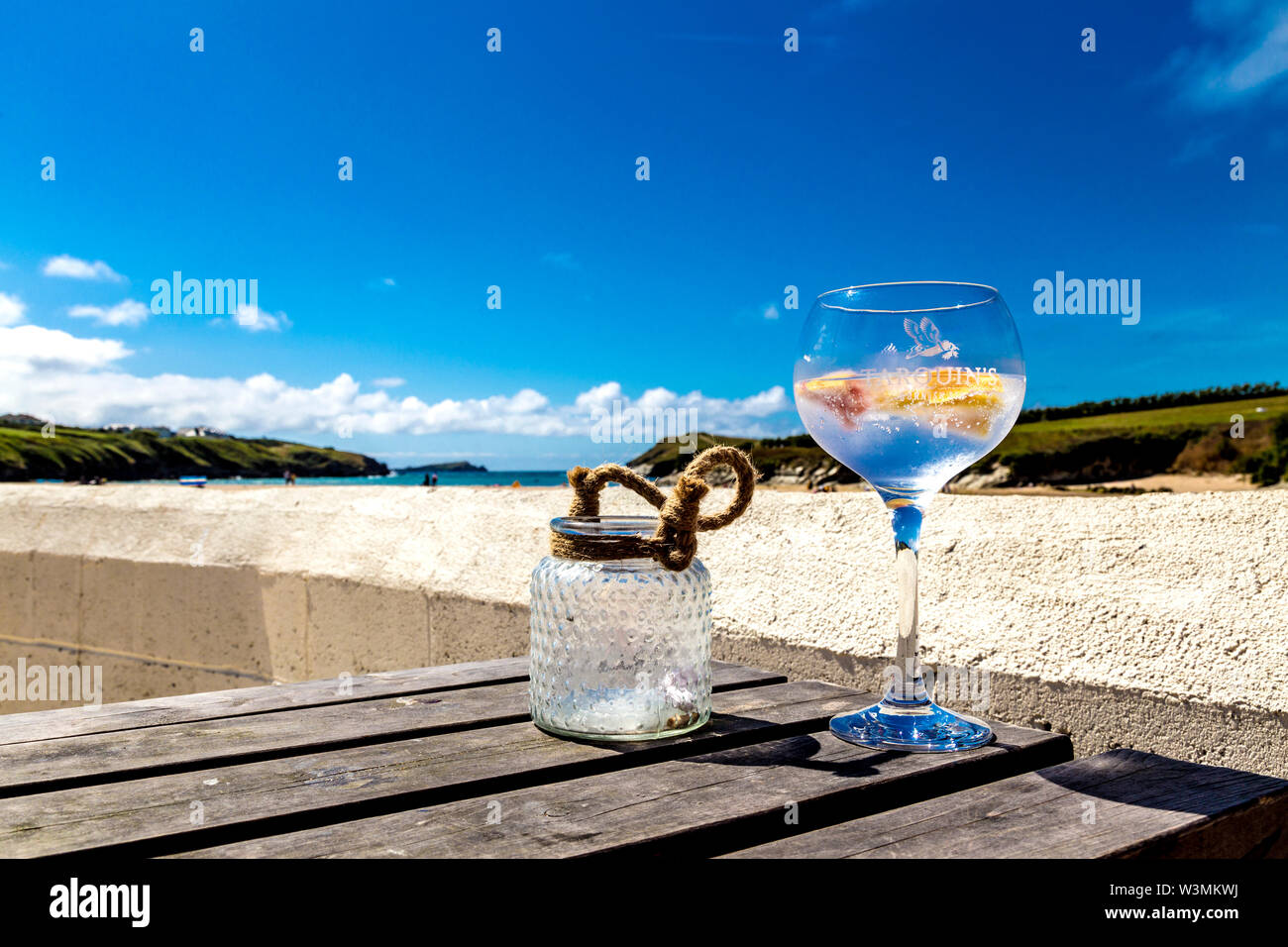 Glass of gin and tonic with refreshing circus fruits (The Mermaid Inn ...