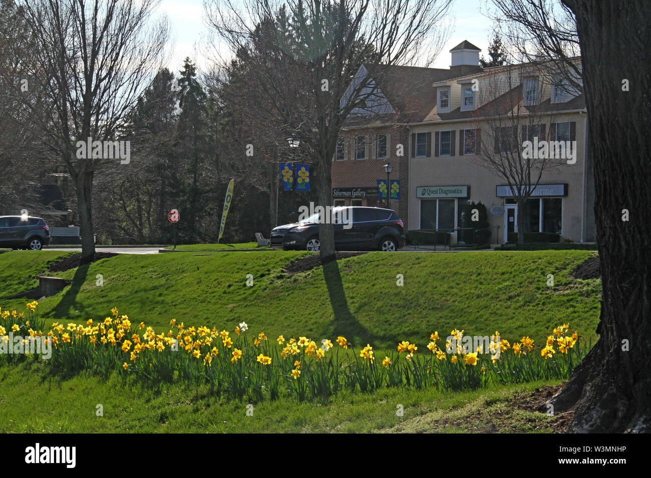 Small shopping center in Pennsylvania, USA, seen in springtime Stock ...