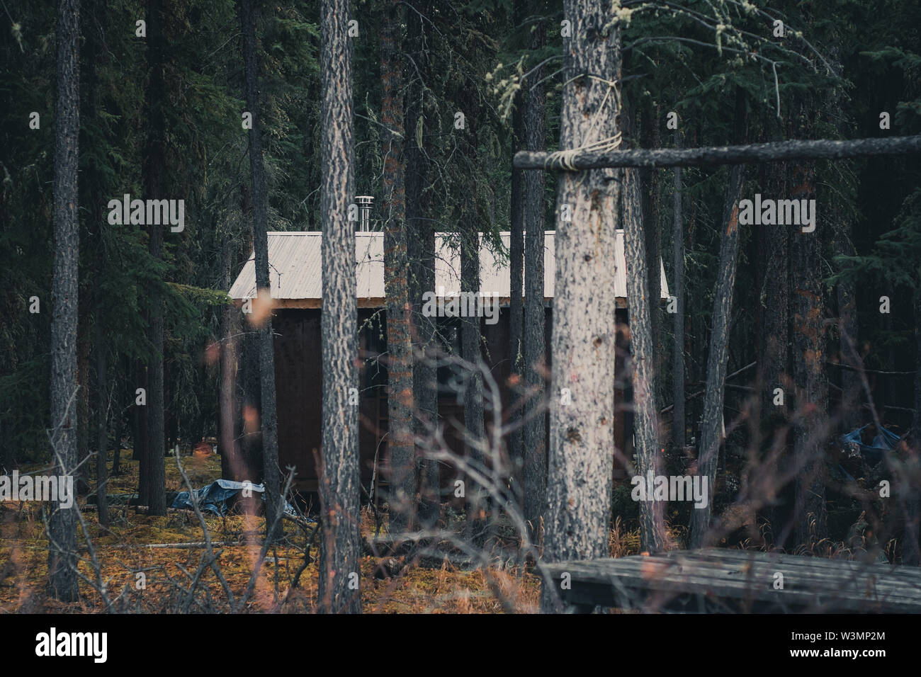 Trapper cabin hi-res stock photography and images - Alamy