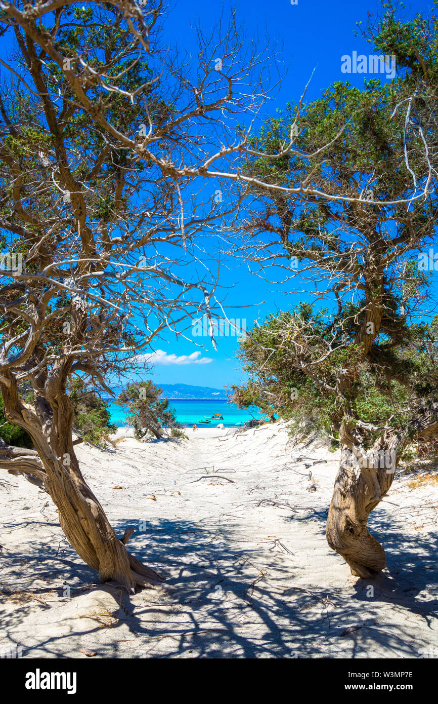 Exotic Chryssi island at the south of Crete, with the amazing Golden ...