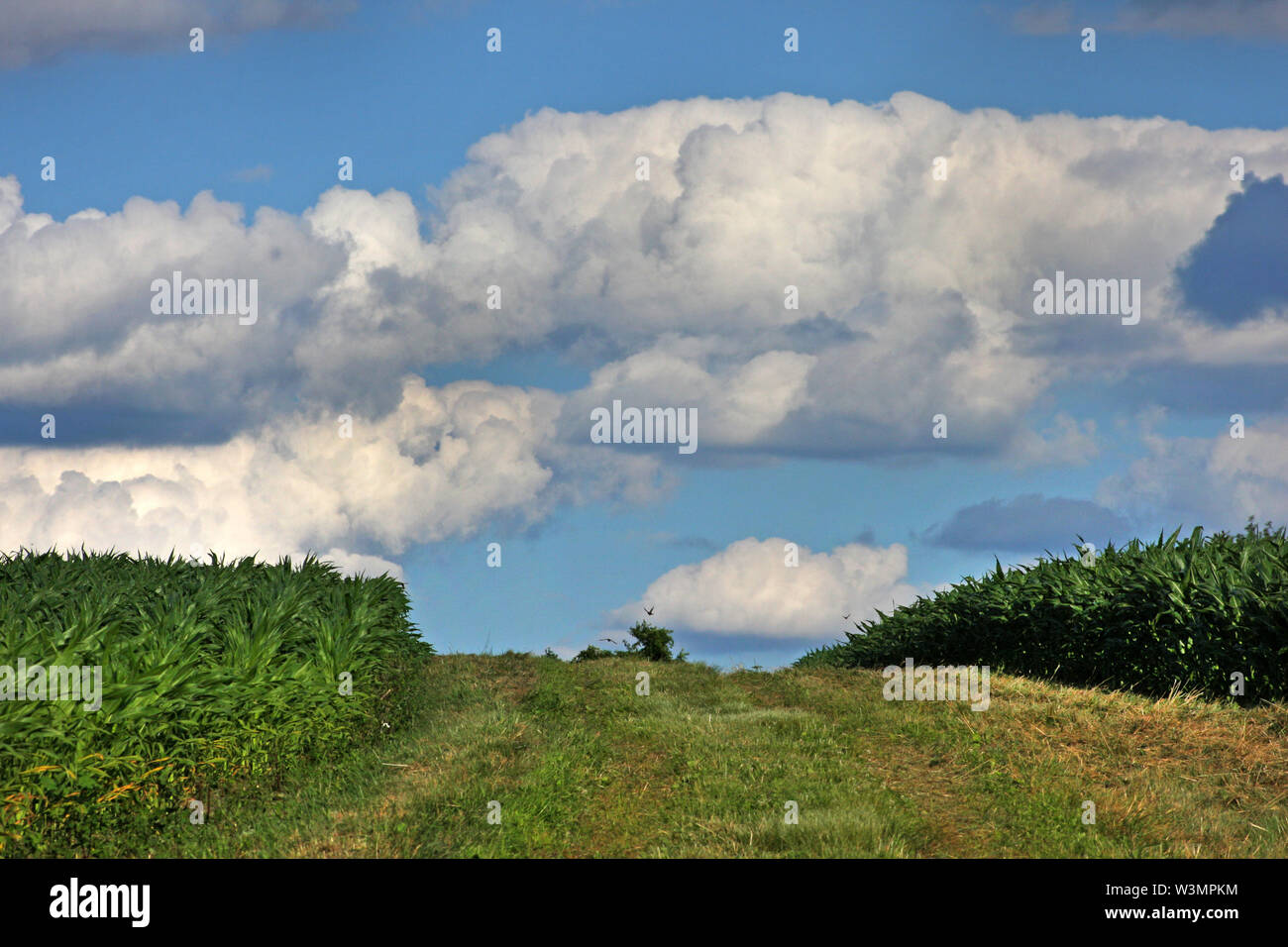 Pennsylvania plantation hi-res stock photography and images - Alamy