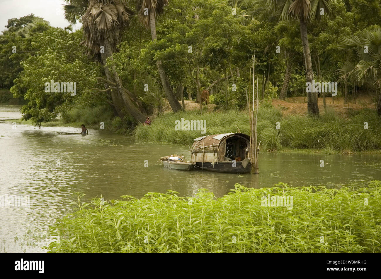 Natural scene. Valuka, Bangladesh. 2007 Stock Photo - Alamy