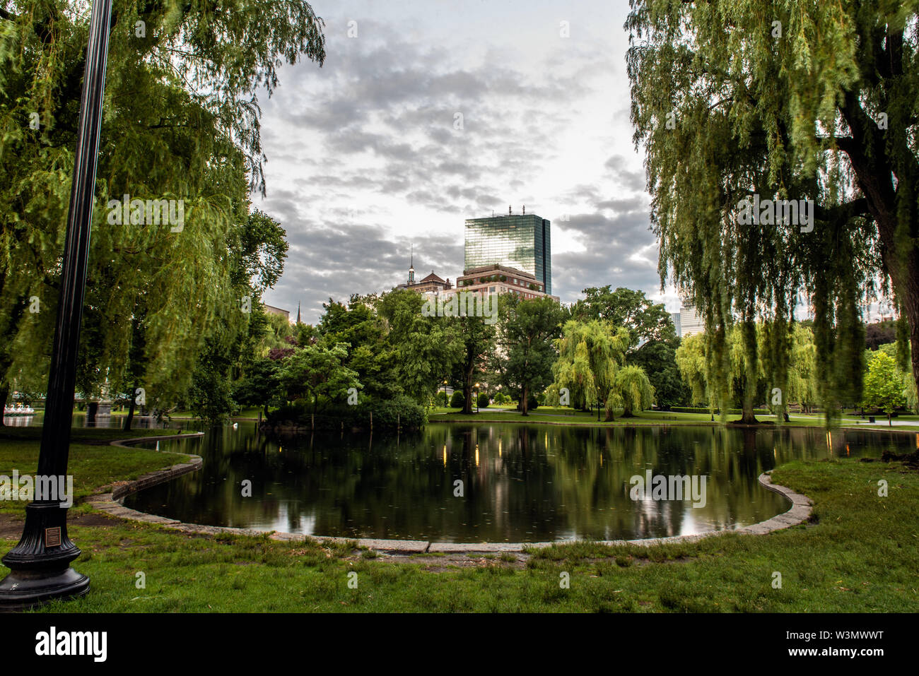 Boston Public Garden Park pond reflects the weeping willow tree ...