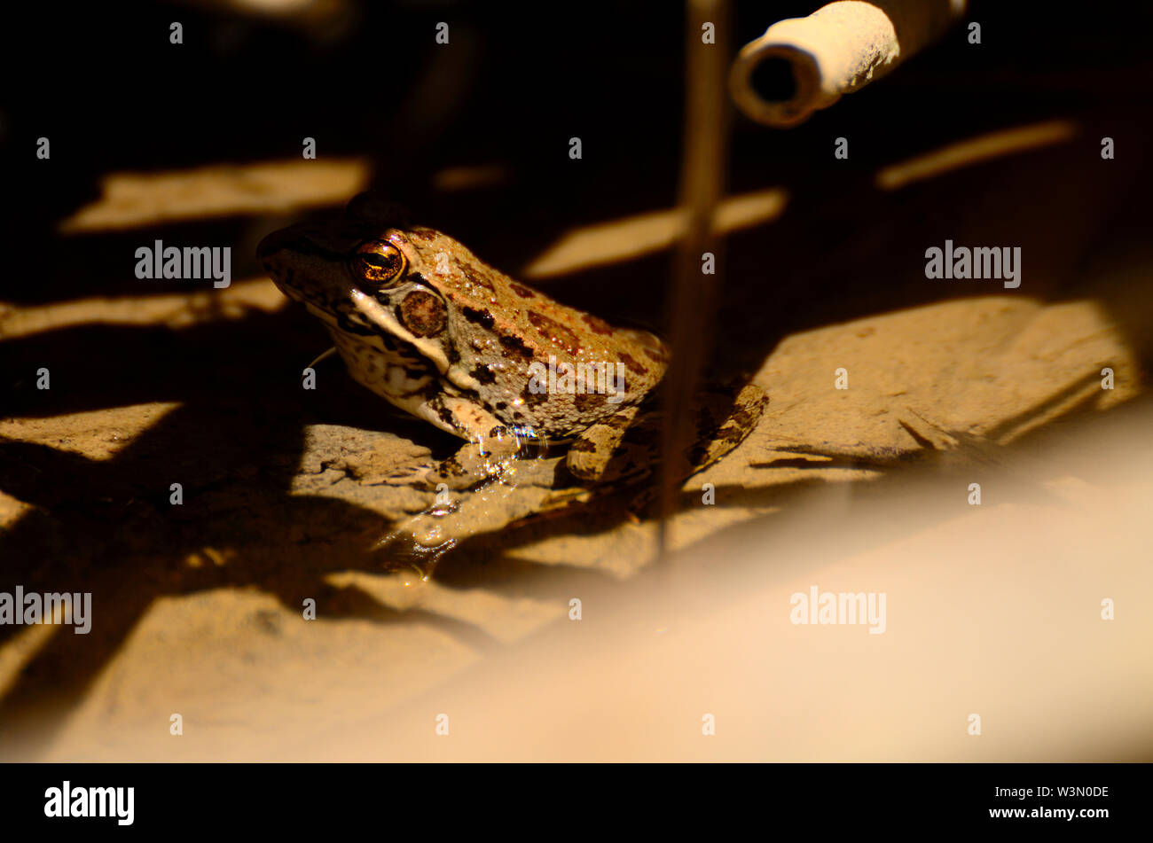 Inside river hi-res stock photography and images - Alamy