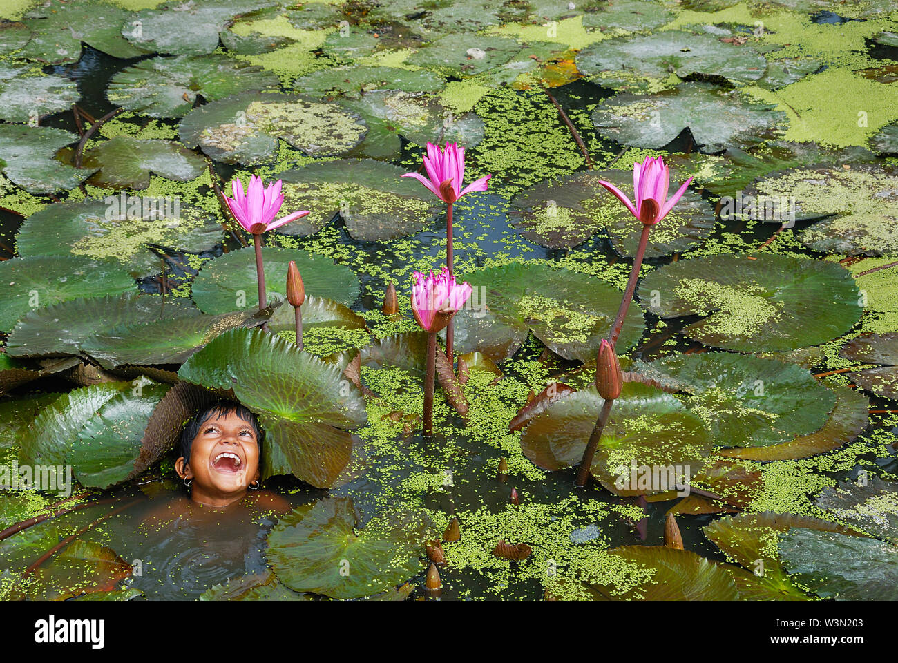 A little girl having fun in the pond at the remote village of Sundarban ...