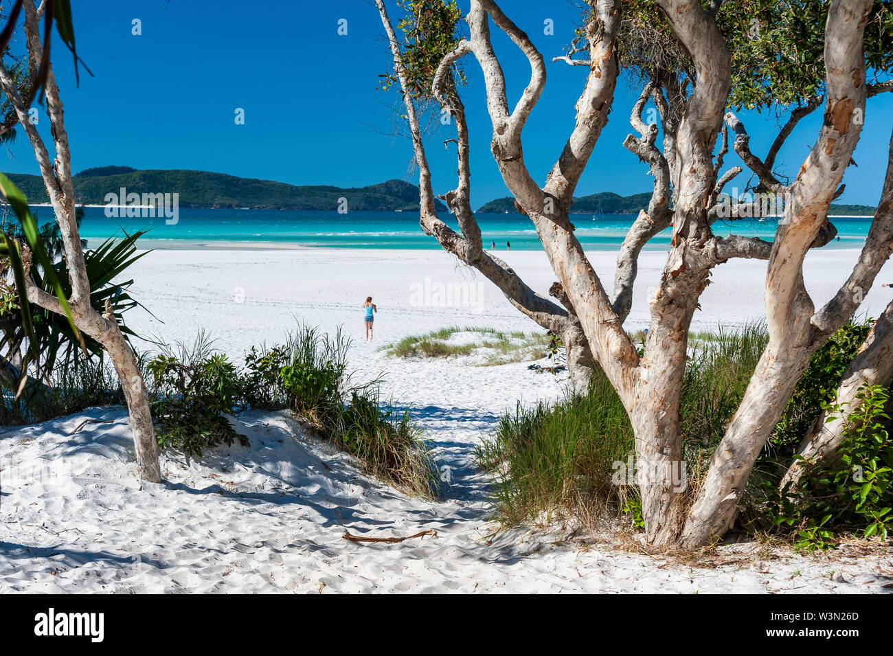 Whitehaven beach whitsunday island walk hi-res stock photography and ...