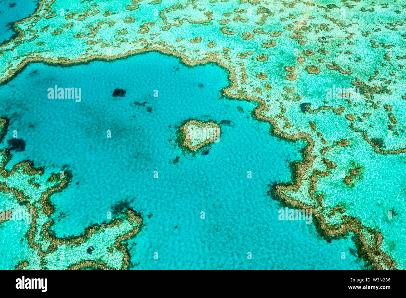 Heart Reef, Hardy Lagoon in the Great Barrier Reef of the Whitsundays ...