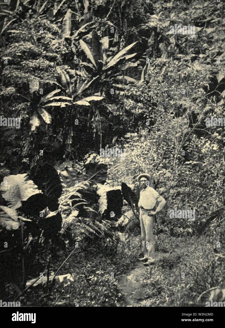 Clement wragge hi-res stock photography and images - Alamy