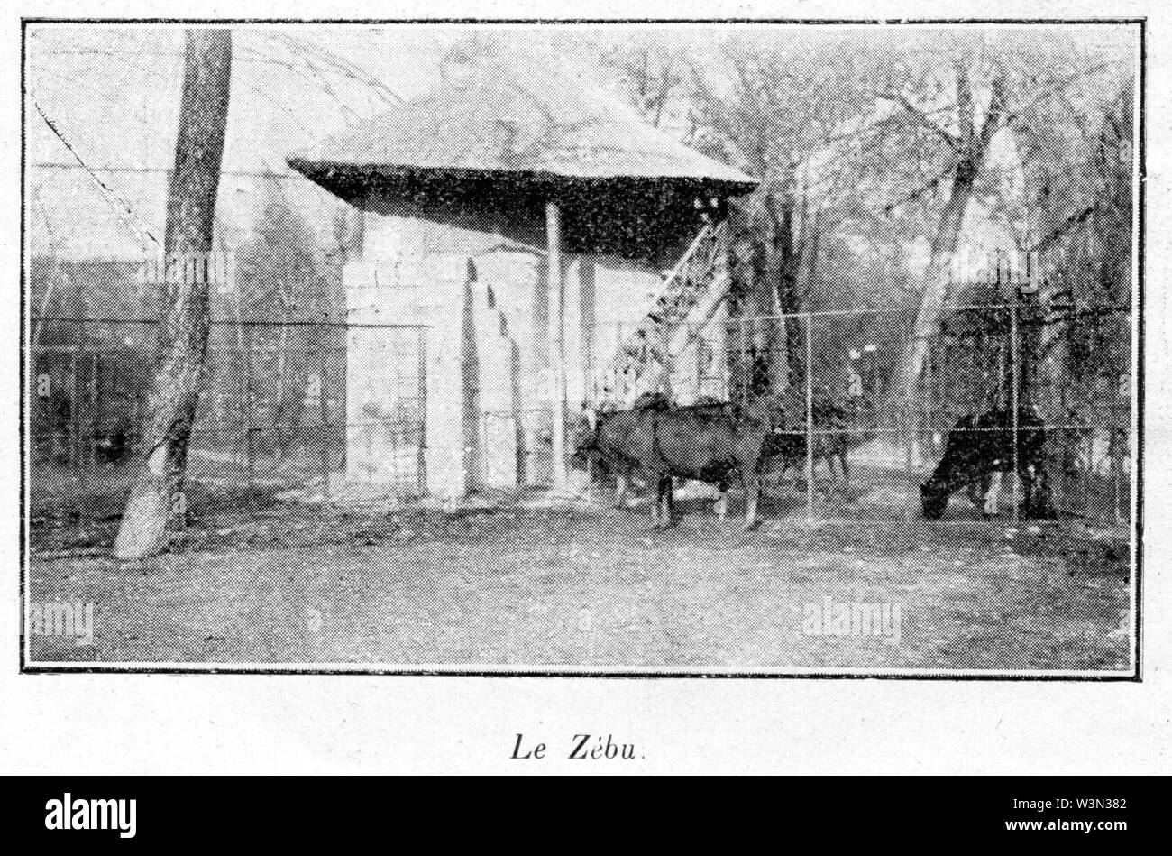 Plein air image Black and White Stock Photos & Images - Alamy