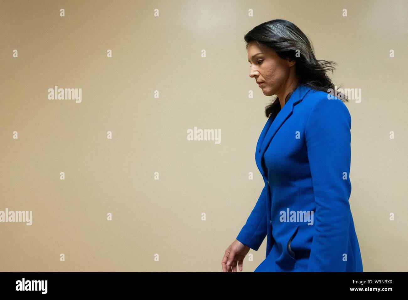 Representative Tulsi Gabbard High Resolution Stock Photography and ...
