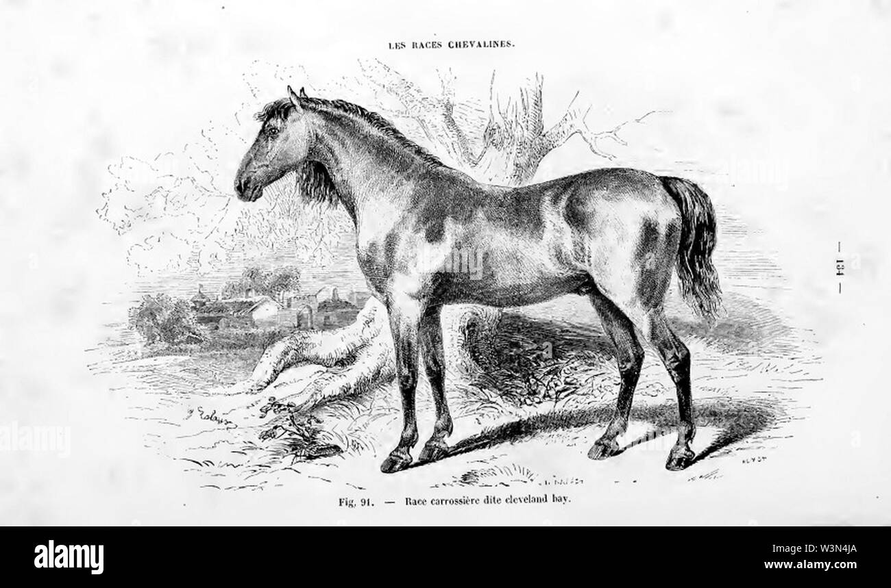 Gayot hi-res stock photography and images - Alamy