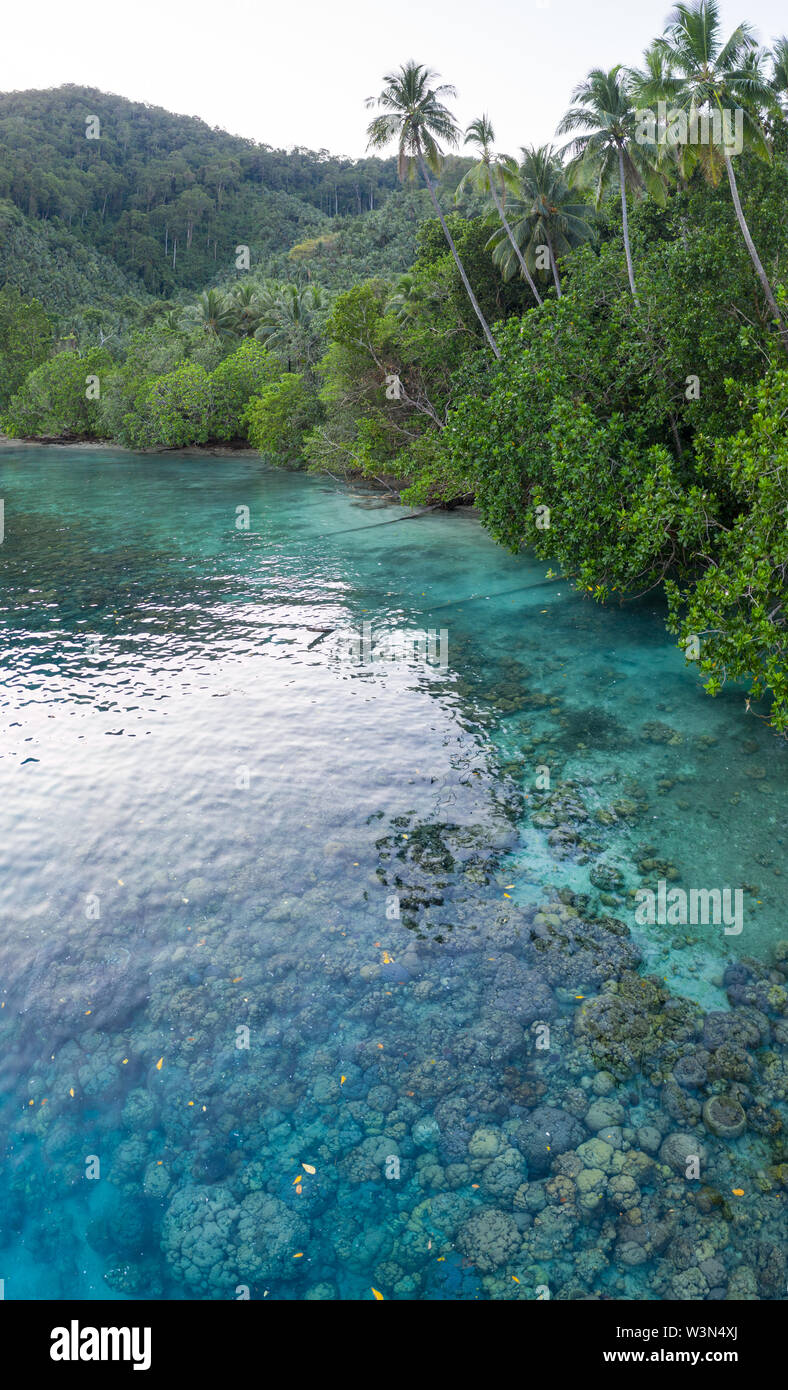 A coral reef surrounds idyllic islands near New Britain in Papua New ...