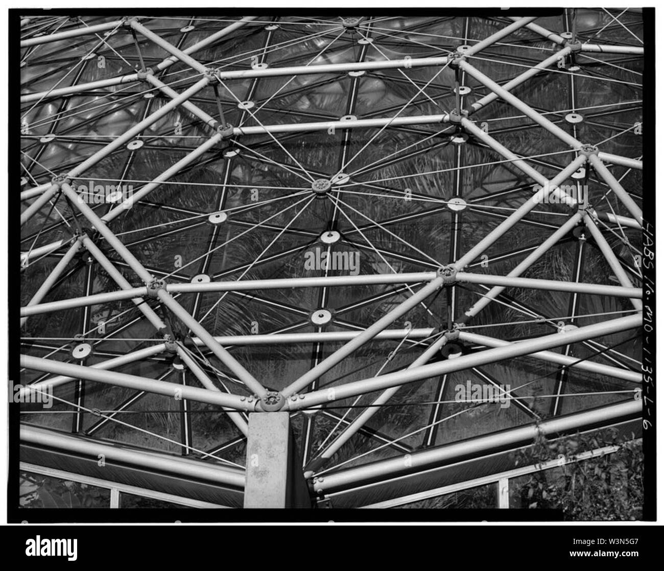 Reference structure Black and White Stock Photos & Images - Alamy