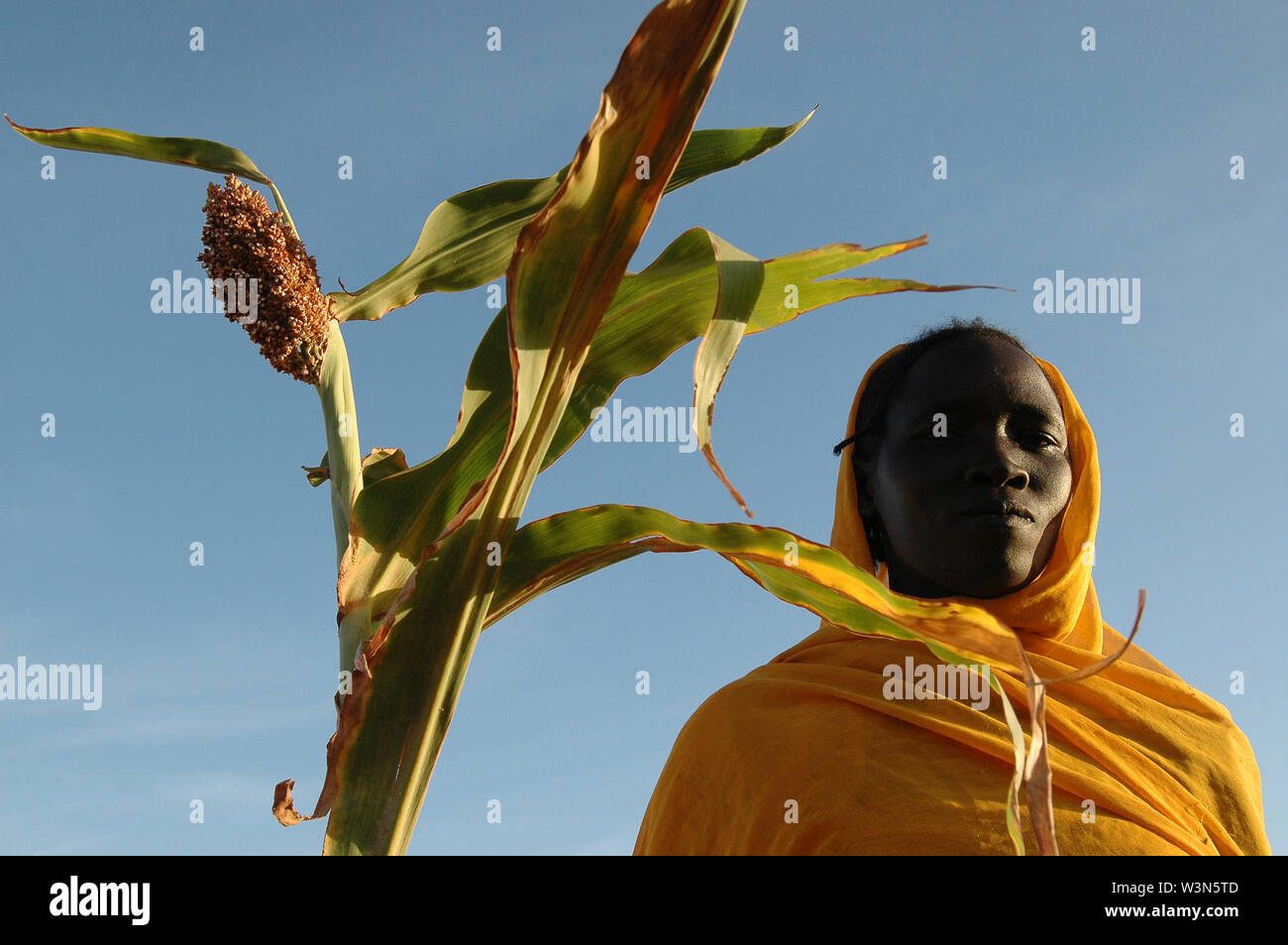 El geneina hi-res stock photography and images - Alamy