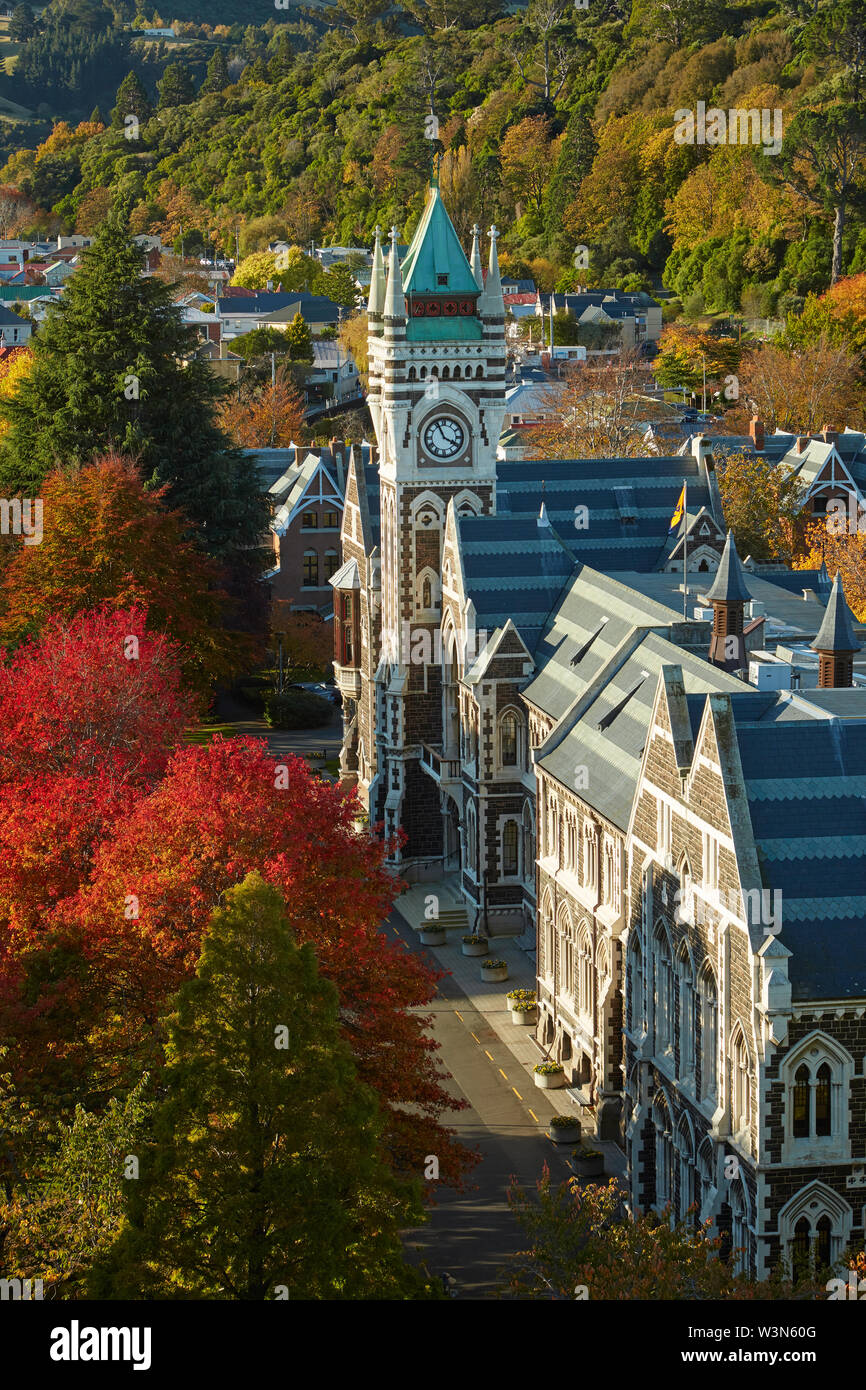 Clock Tower, Registry Building, University of Otago in Autumn, Dunedin ...