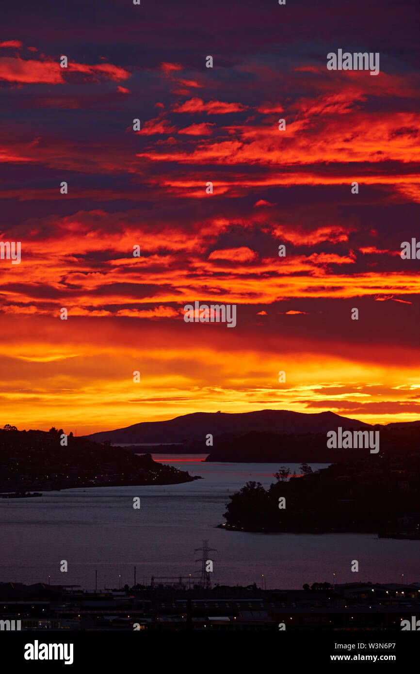 Dunedin harbour n hi-res stock photography and images - Alamy