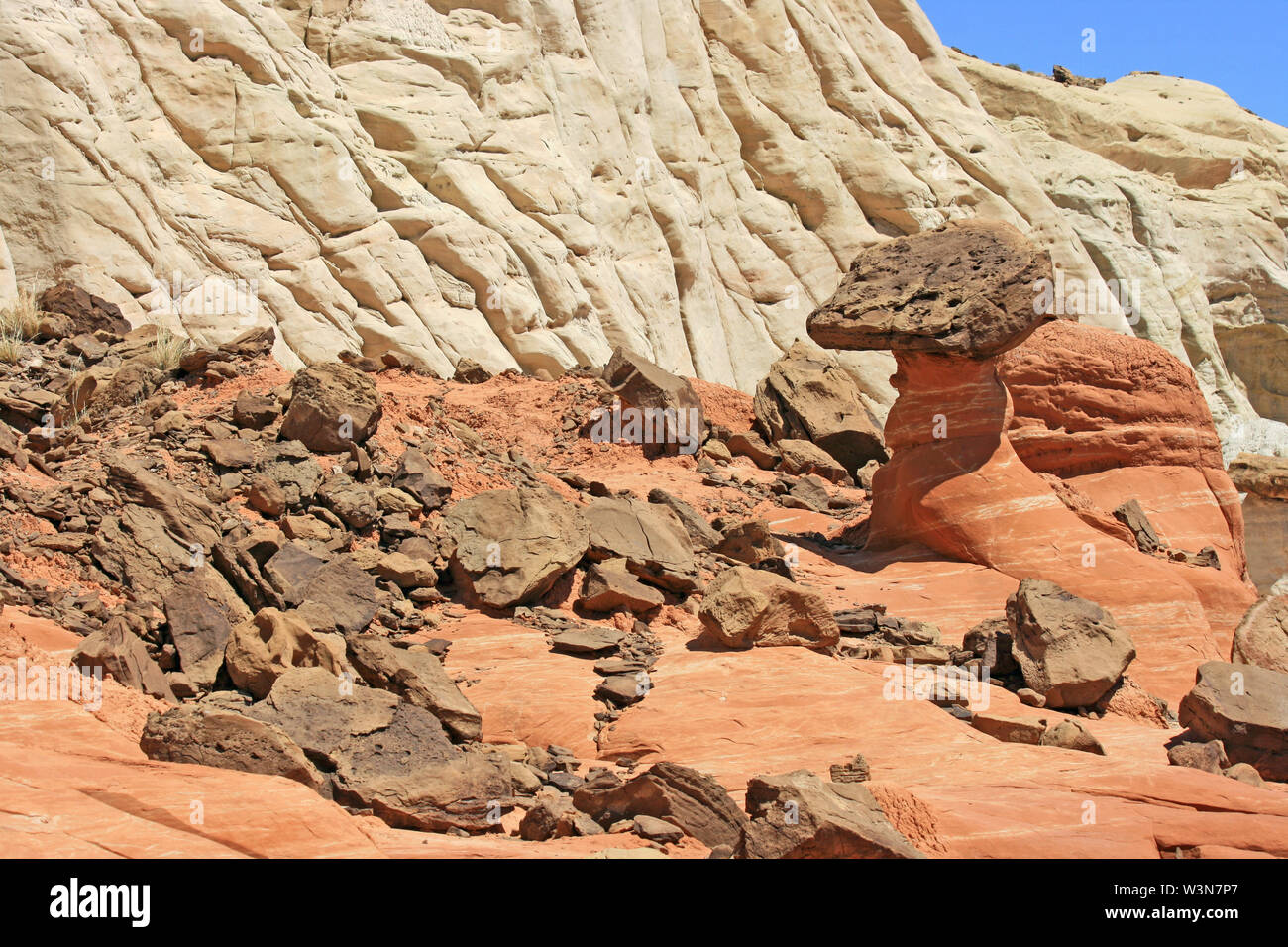 Toadstool among brown rocks, Utah Stock Photo - Alamy
