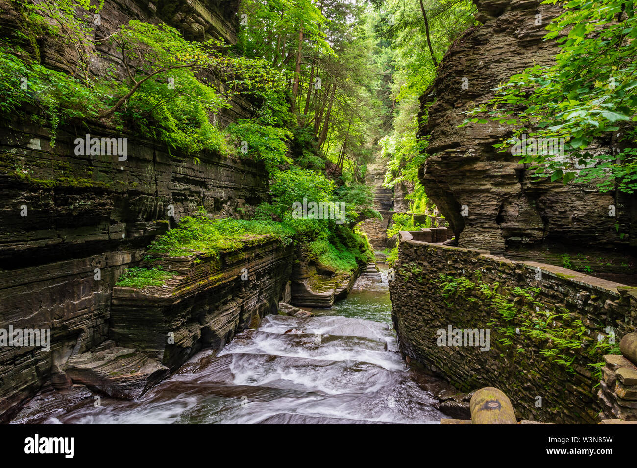 Gorge Trail in Upper Robert H Treman State Park Stock Photo - Alamy