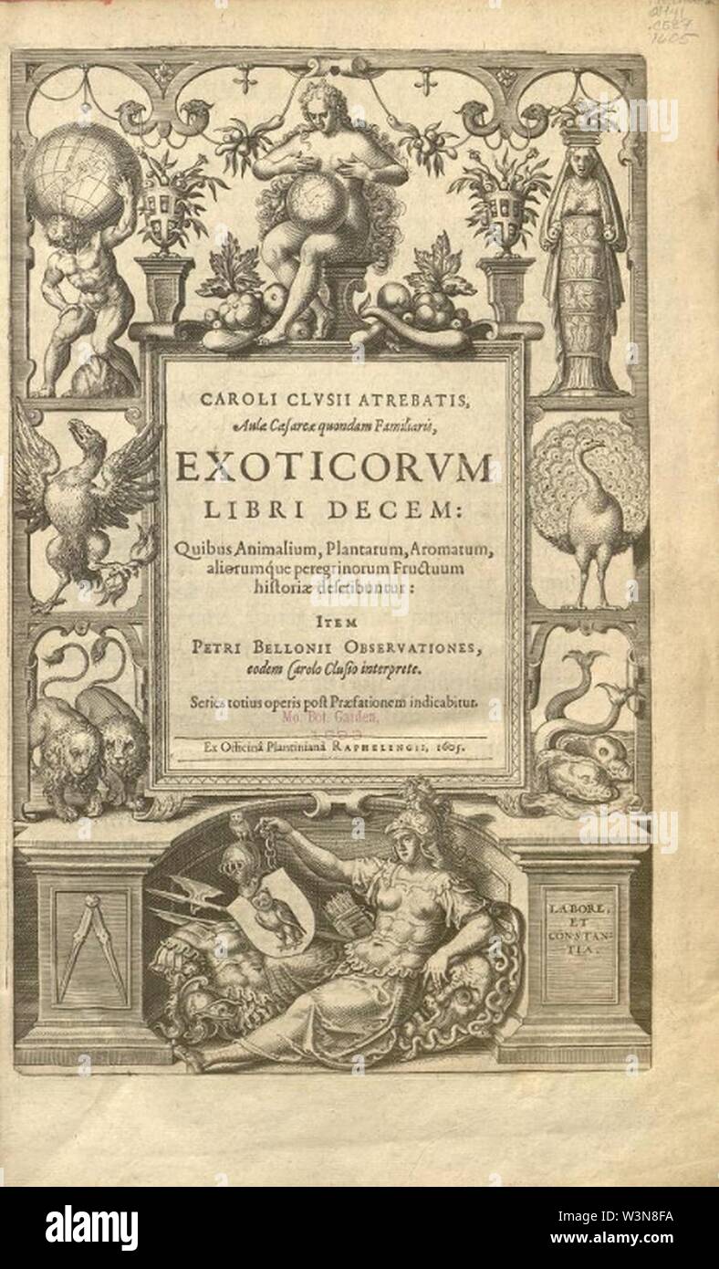 Clusius art hi-res stock photography and images - Alamy