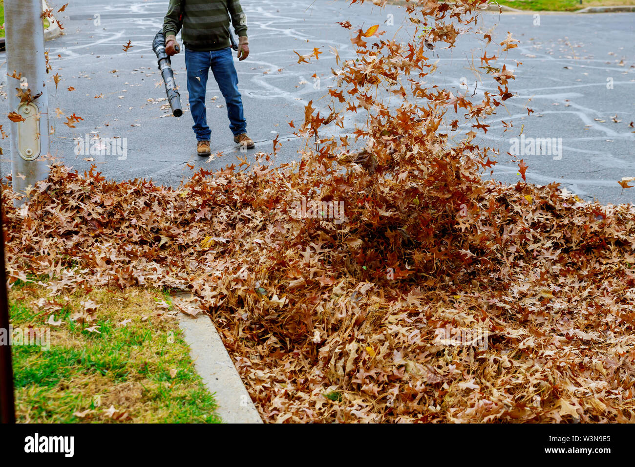 Autumn leaves on pavement and broom fall leaves with rake Stock Photo ...