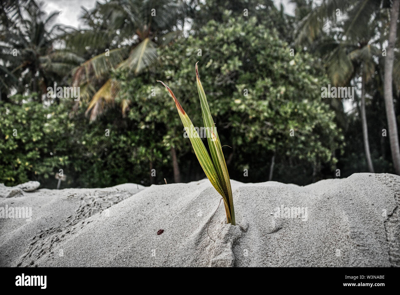 This unique photo shows the natural island texture with breathtaking ...