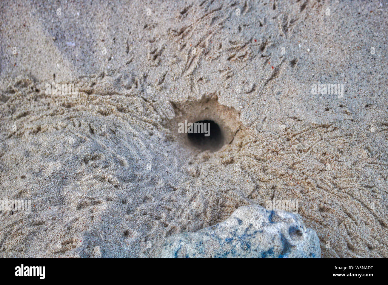Animal water hole hi-res stock photography and images - Alamy