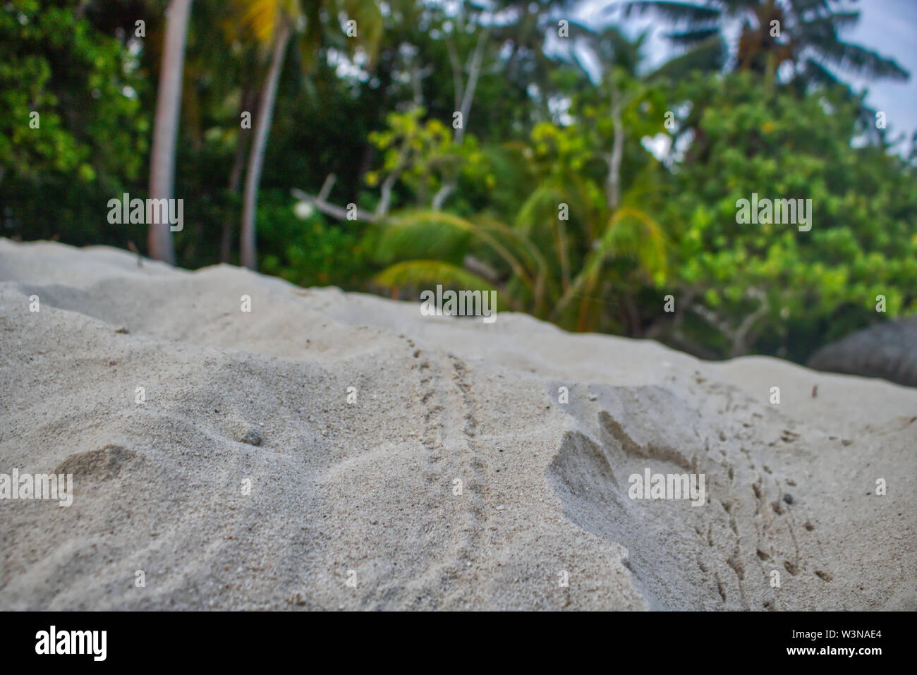 This unique photo shows the natural island texture with breathtaking ...