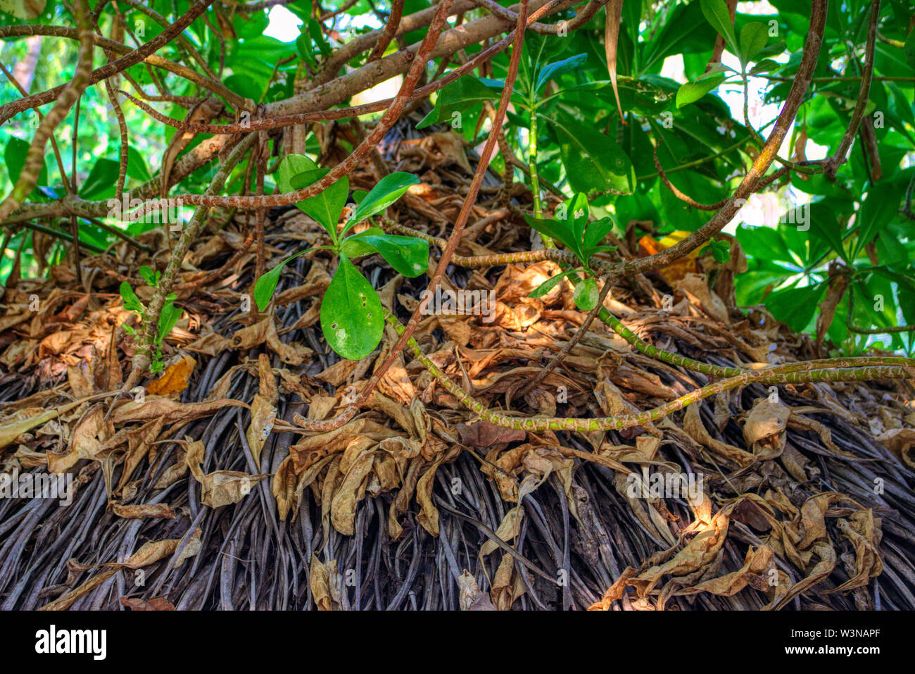 This unique photo shows the natural island texture with breathtaking ...