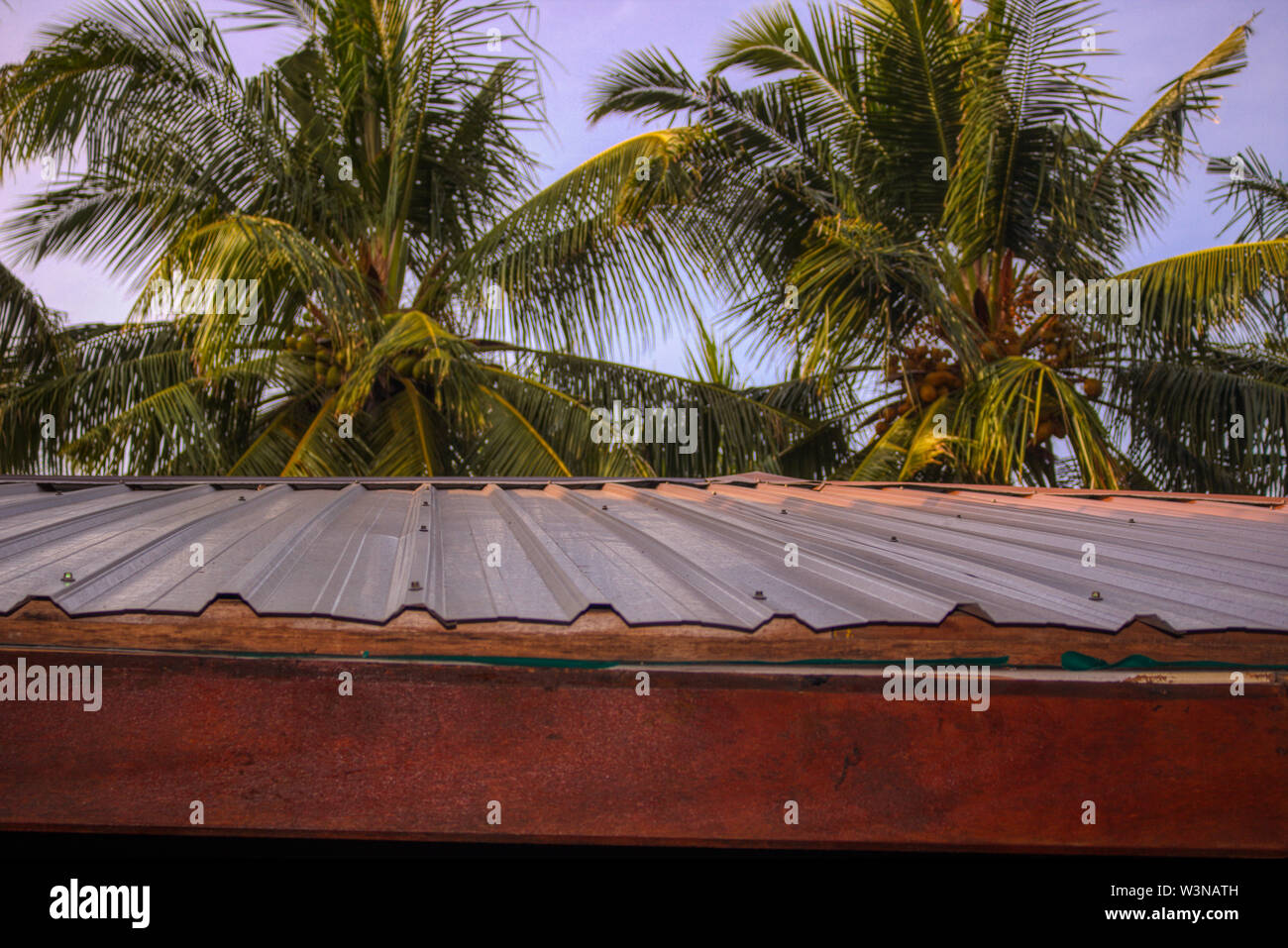 Palm leaf roof hi-res stock photography and images - Alamy
