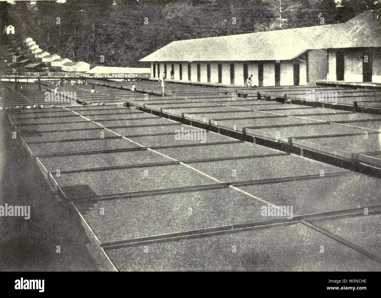 Artwork drying hi-res stock photography and images - Alamy