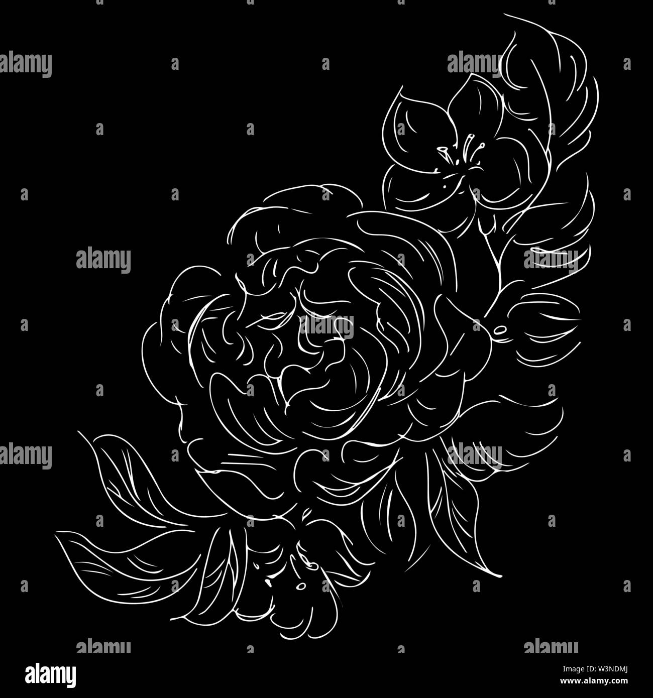 Line art peonies outline hand for decorative design. Vintage floral ...