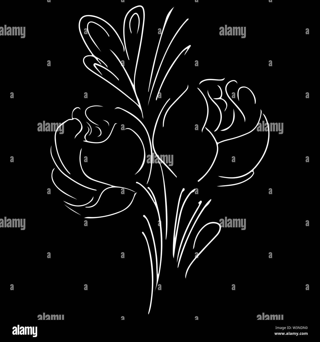 Modern sketch icon with peonies outline hand. Isolated peony ...