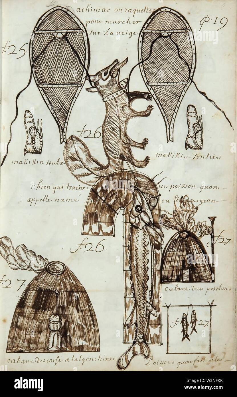 Codex canadensis, p. 19 Stock Photo - Alamy