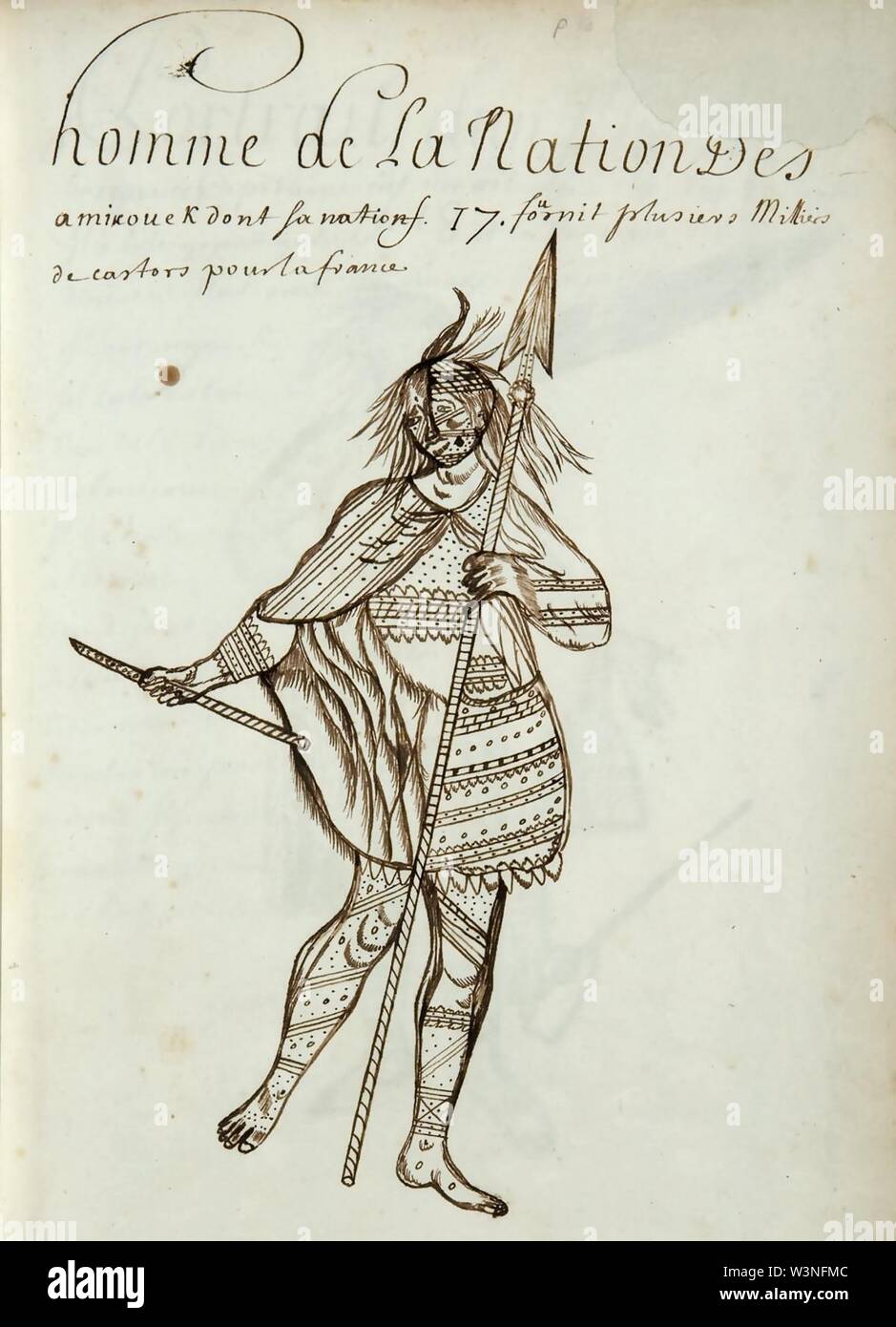 Codex canadensis, p. 13 Stock Photo - Alamy