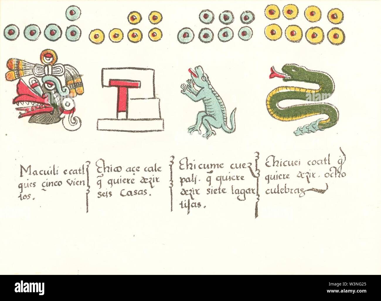 Codex Magliabechiano folio 11v Stock Photo - Alamy