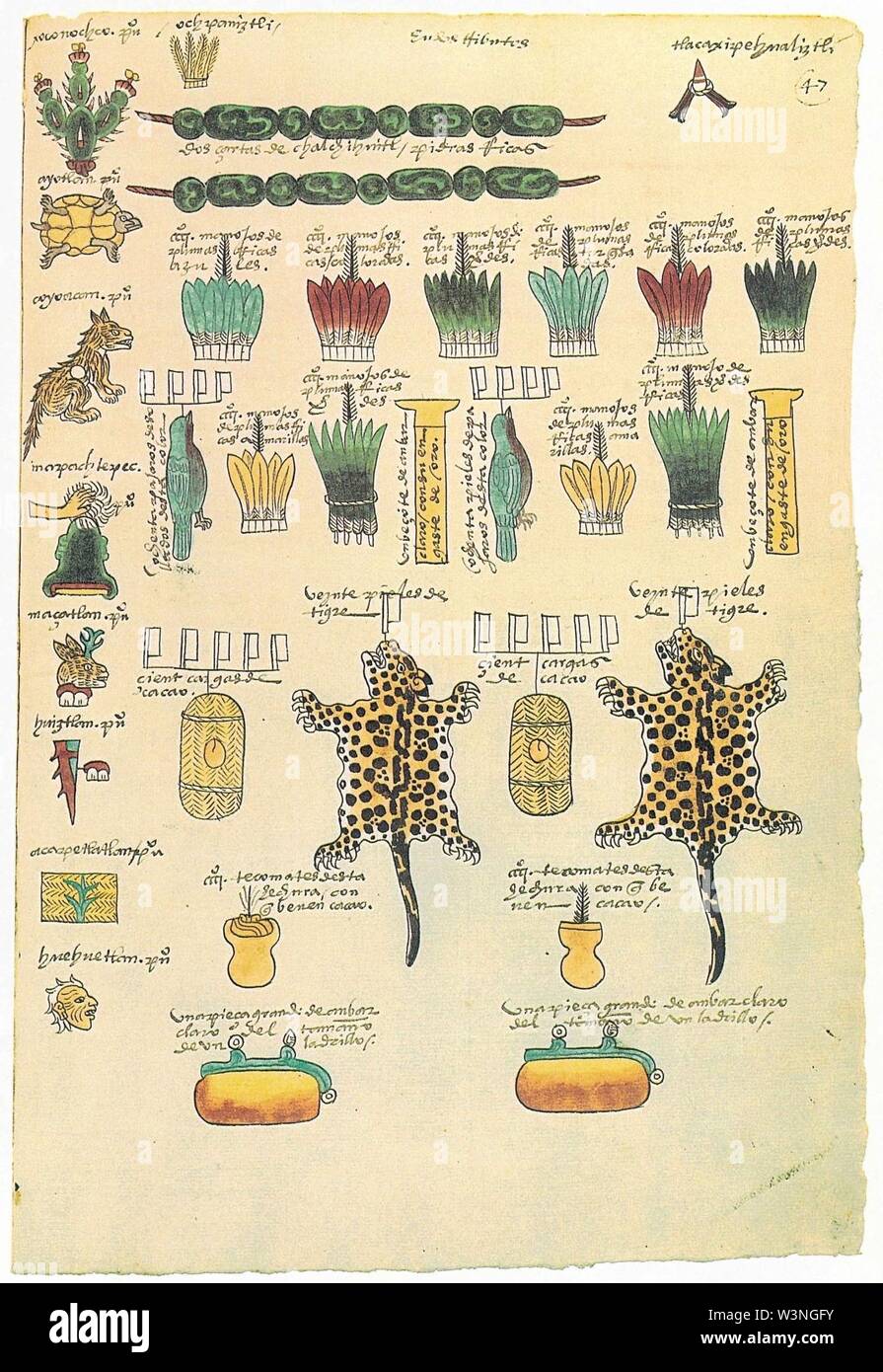 Mendoza codex hi-res stock photography and images - Alamy
