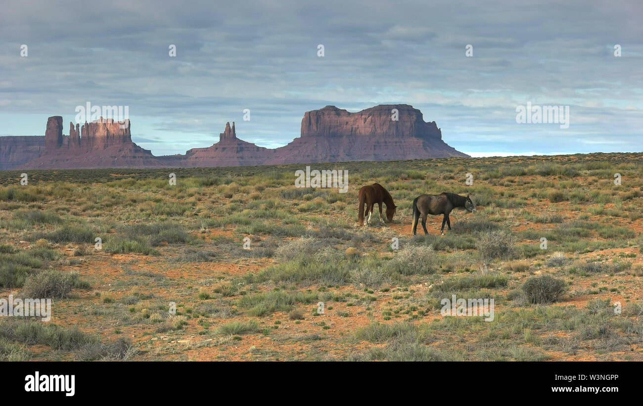 Cowboy in monument valley hi-res stock photography and images - Alamy