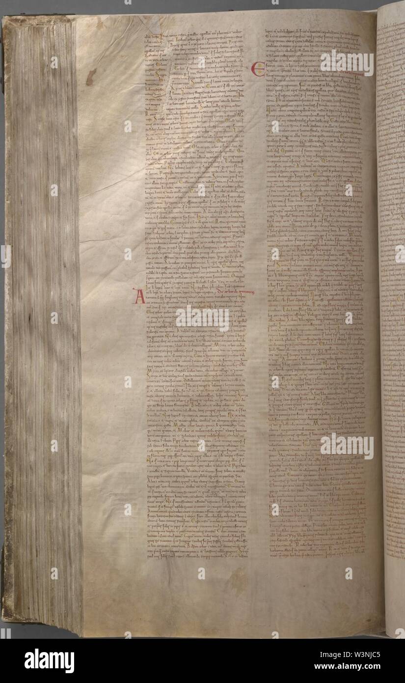 CodexGigas 466 Isidorus Stock Photo - Alamy
