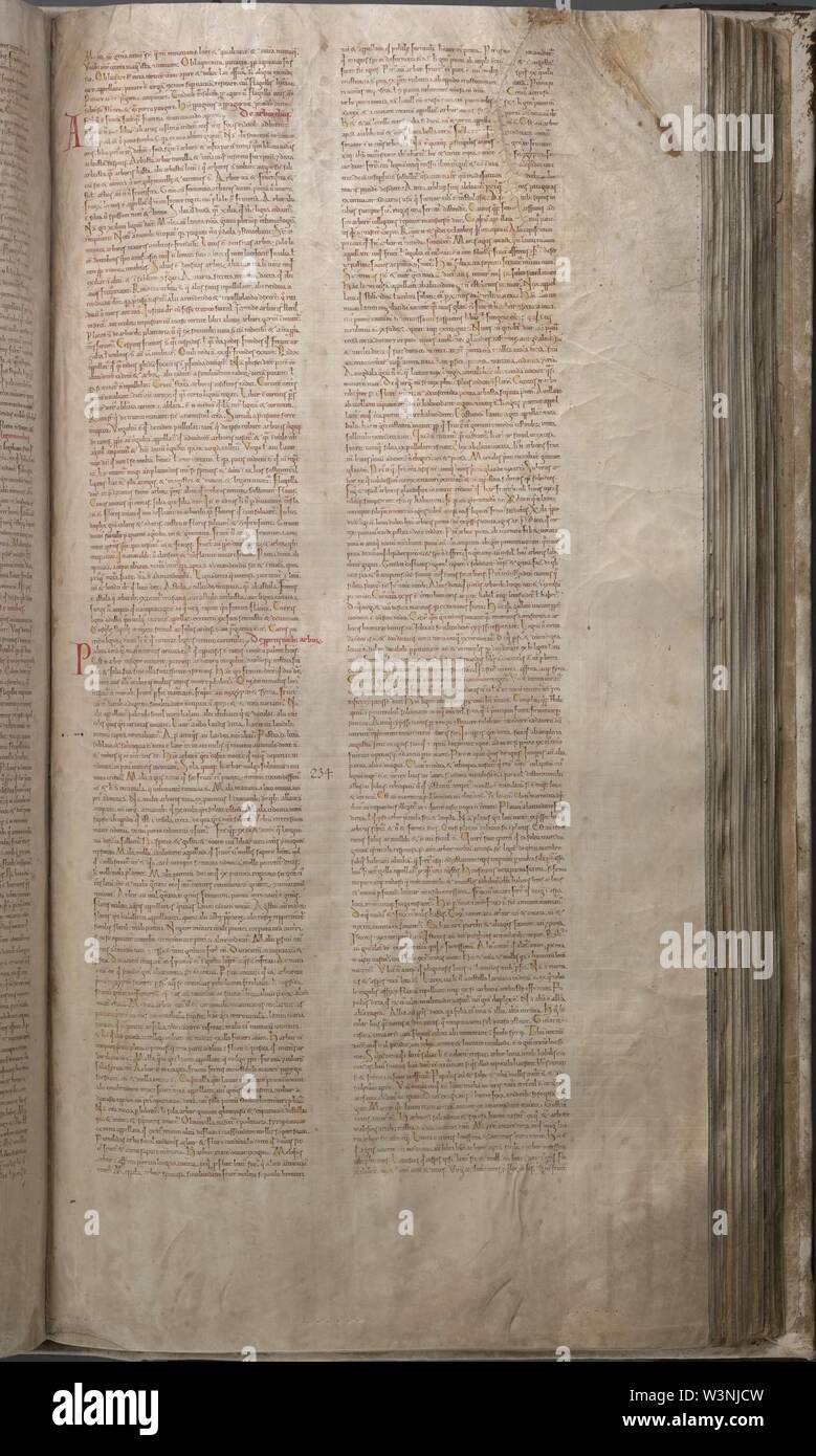 CodexGigas 465 Isidorus Stock Photo - Alamy