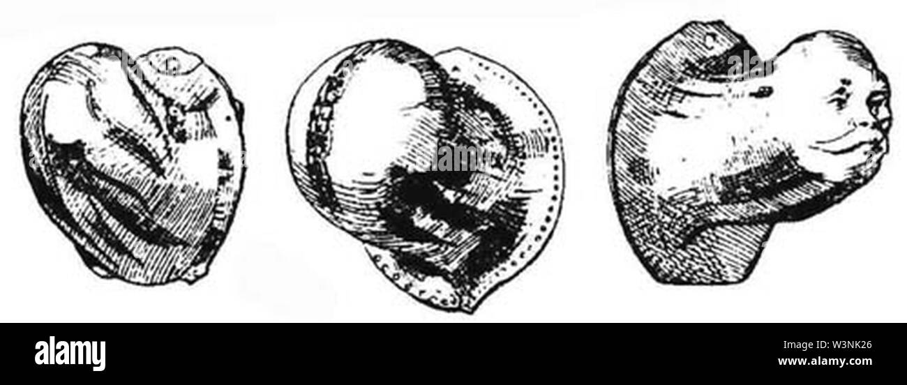 Cod-Piece by Wendelin Boeheim Stock Photo - Alamy