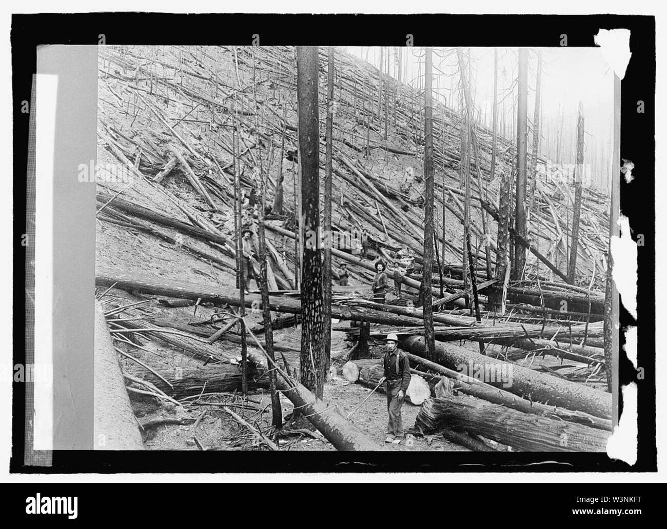 Coeur d'Alene Nat. Forest, Idaho Stock Photo - Alamy