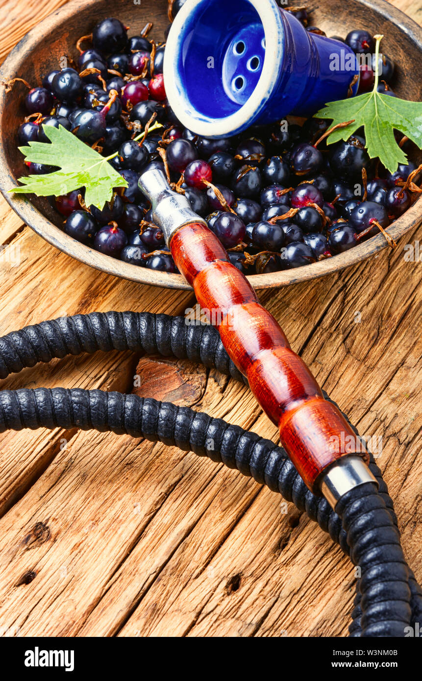 Hookah mouthpiece.Fruit shisha aroma.Tabak with black currant flavor ...