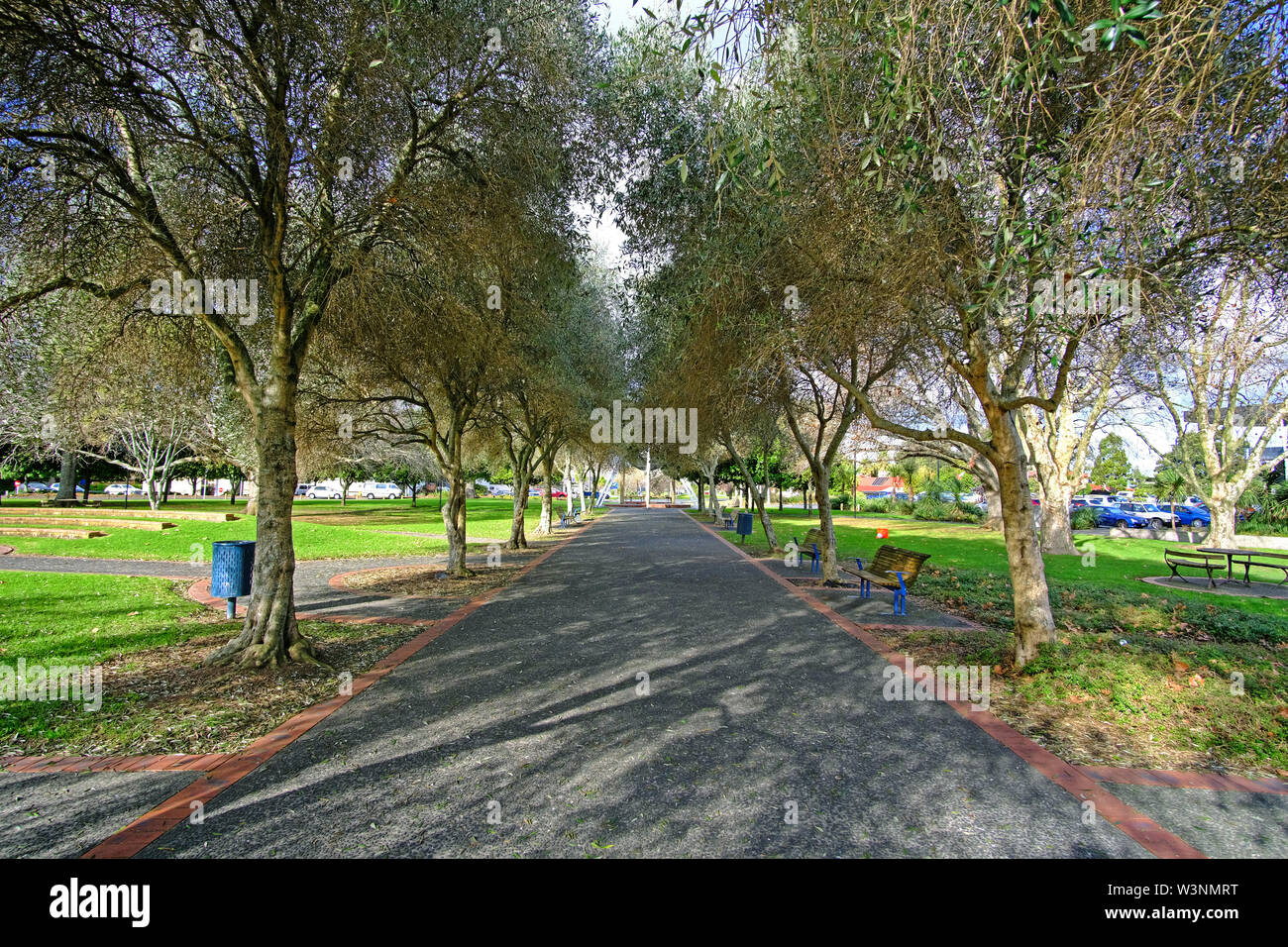 A walking track in a park with trees on the side Stock Photo - Alamy