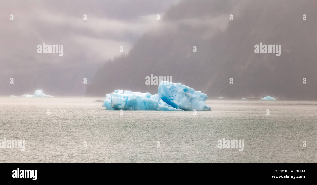 View of a huge blue iceberg floating in Tracy Arm fjord, Alaska Stock ...