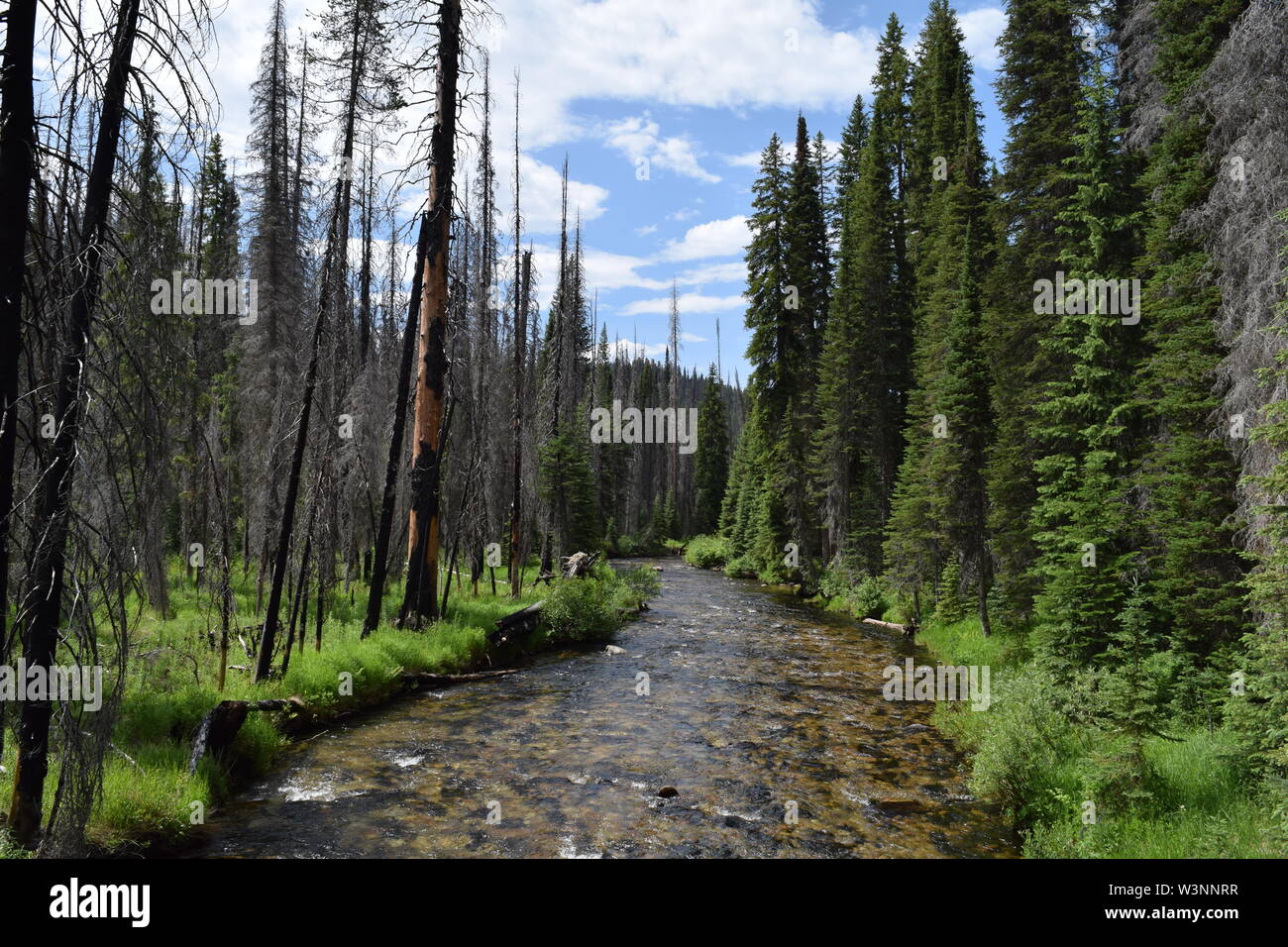 Divided by water hi-res stock photography and images - Alamy