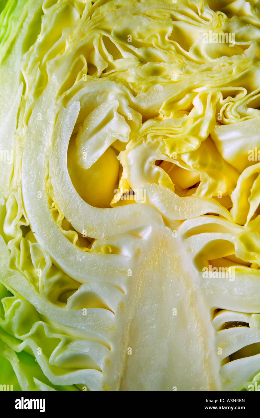Close up to the texture of inside a Cabbage Stock Photo - Alamy