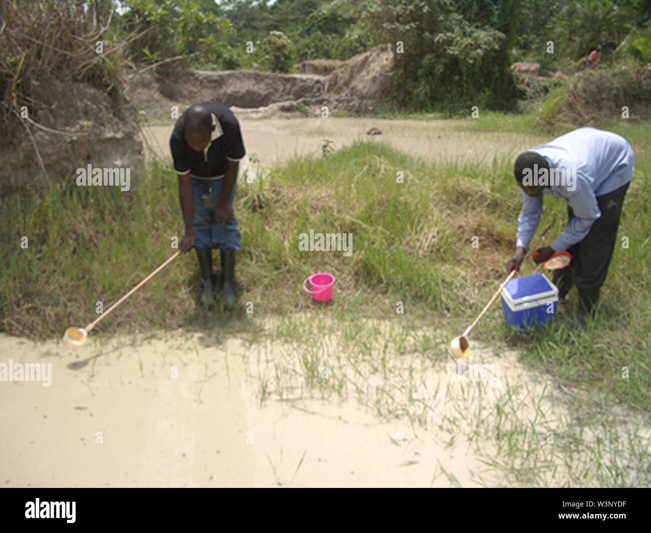 Collecting mosquito larvae-USAID Stock Photo - Alamy