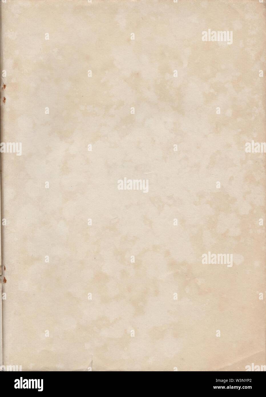 Inner back hi-res stock photography and images - Alamy