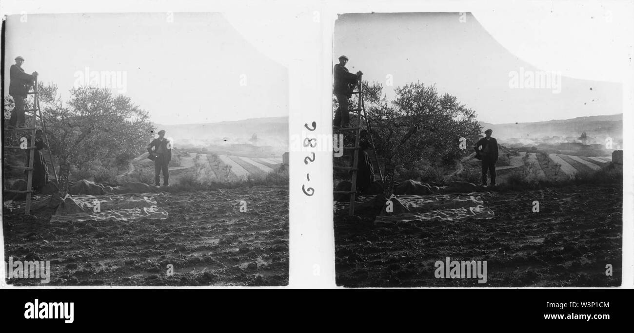 Collita hi-res stock photography and images - Alamy